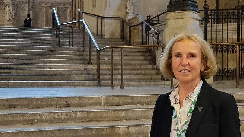 Susan calls for new health centre in Westminster - East Dunbartonshire ...