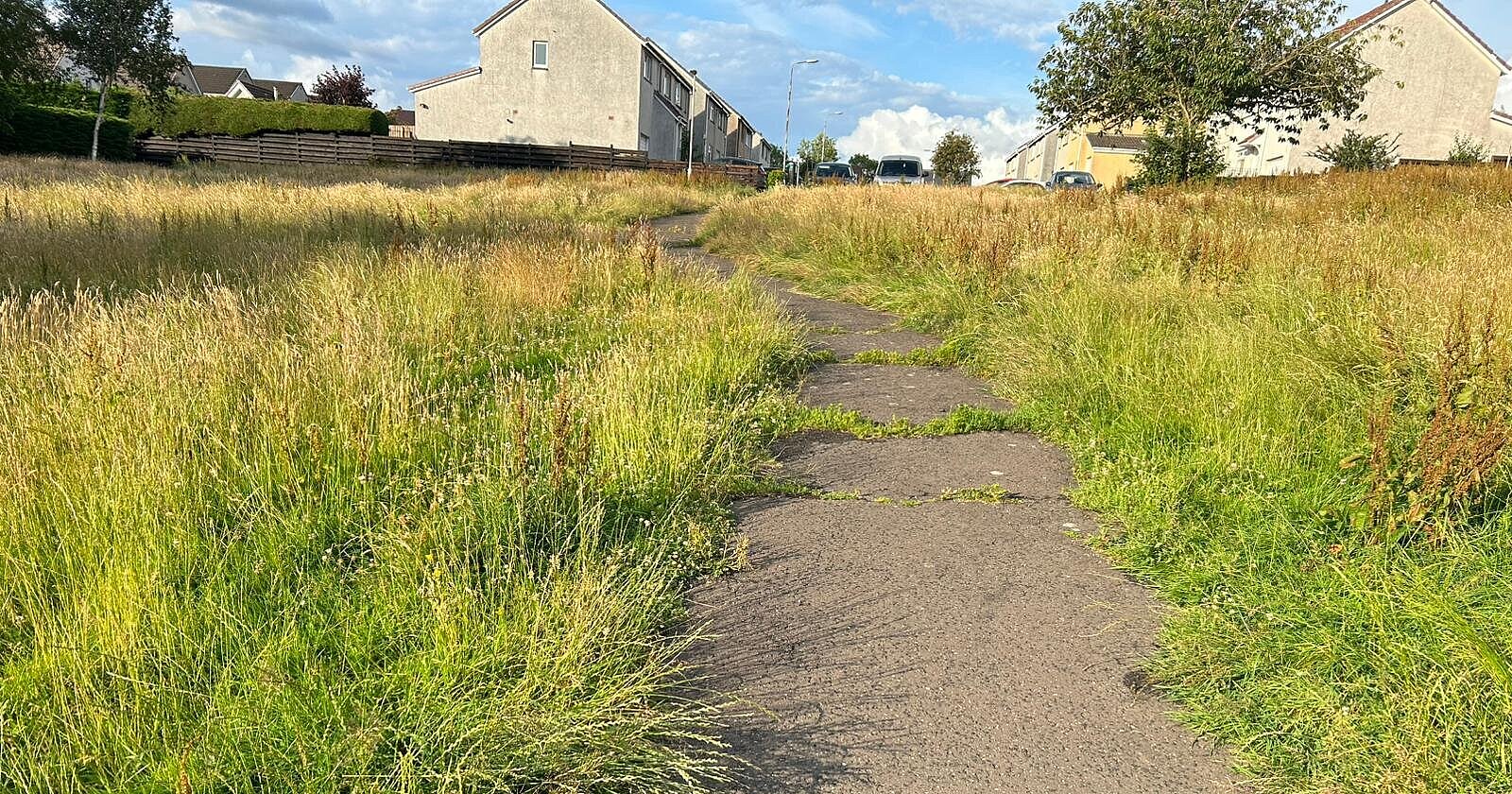 Bring back council maintenance of Lenzie green space - East ...